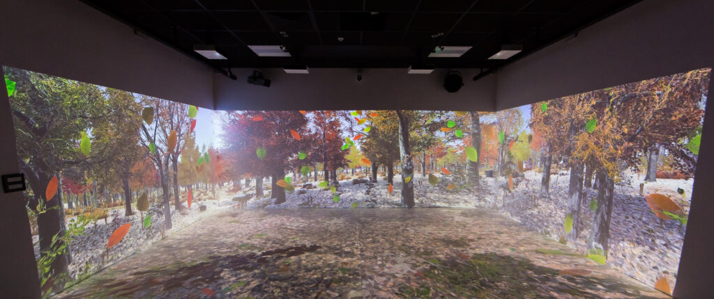 Explore Our Immersive Reality Room Setups